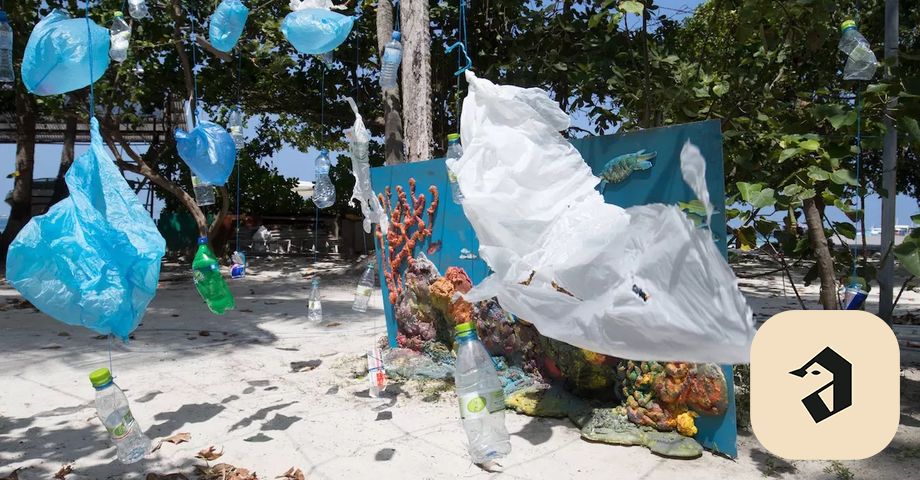Records of plastic bag fees should be kept: MIRA – The Times of Addu