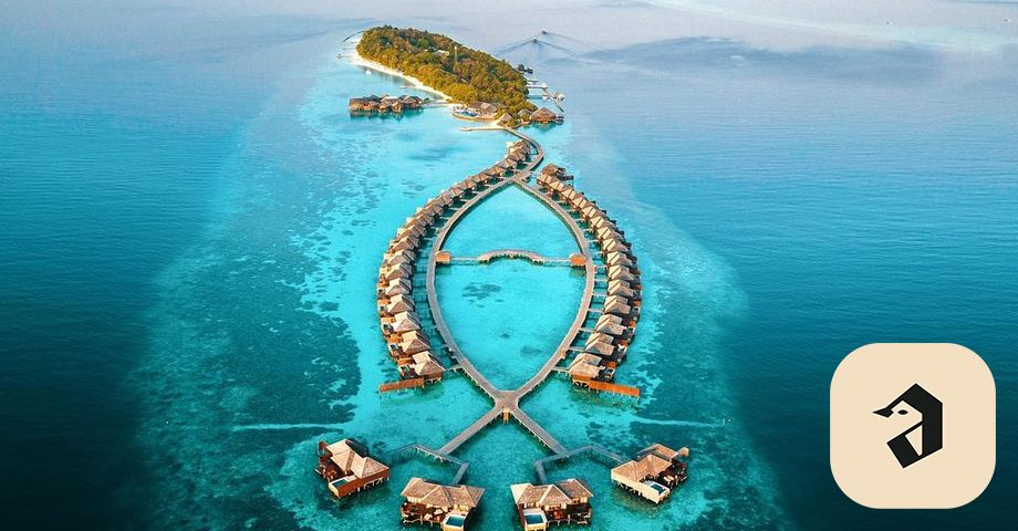 Visit Maldives successfully completes three marketing campaigns to ...
